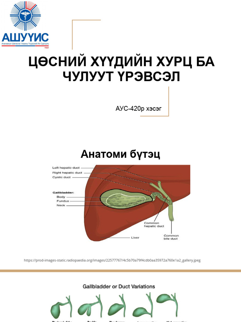 Gall Bladder | PDF