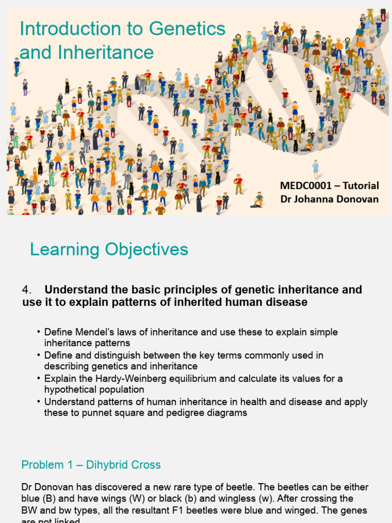 Genetics & Inheritance - Questions | PDF | Dominance (Genetics) | Genotype