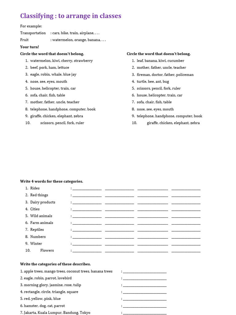 Classifying & Following Direction | PDF