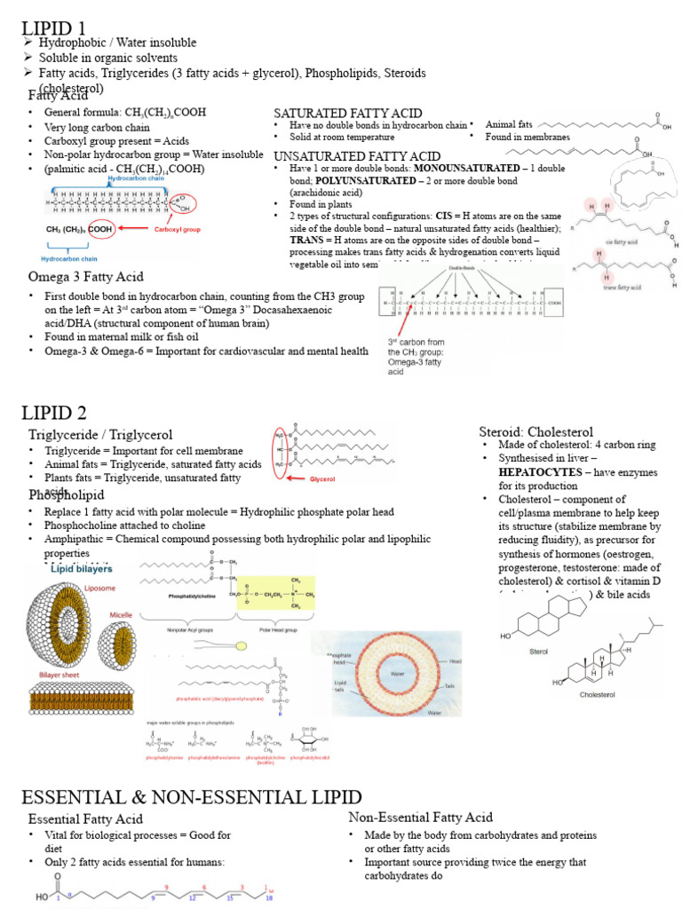 Understanding Lipids and Membrane Permeability | PDF | Ion Channel ...