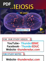 Grade 12 Notes Genetics 2025 | PDF | Dominance (Genetics) | Genotype