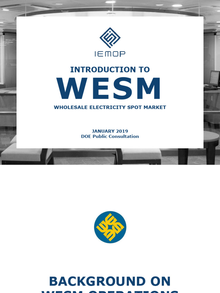 Wesm Overview Doe | Download Free PDF | Governance | Regulatory Compliance
