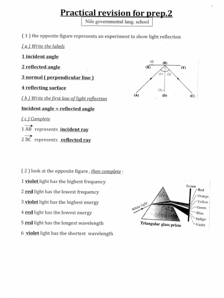 Prep 2 (Experimental Revision) | PDF