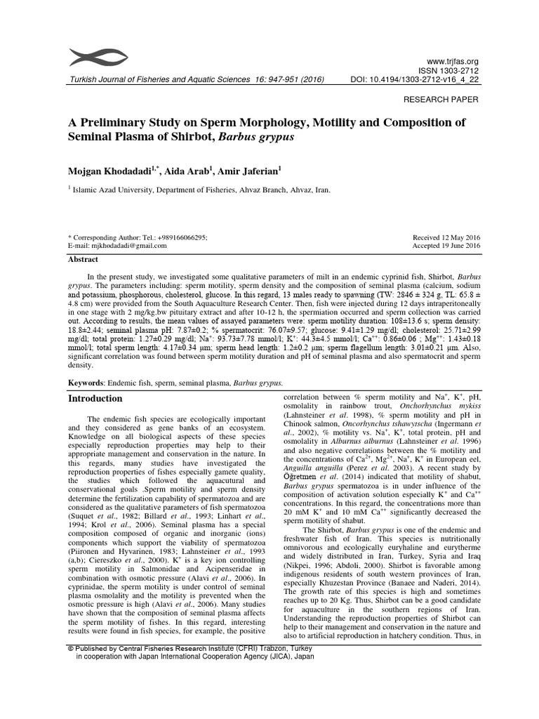 A Preliminary Study On Sperm Morphology | PDF | Semen | Sperm