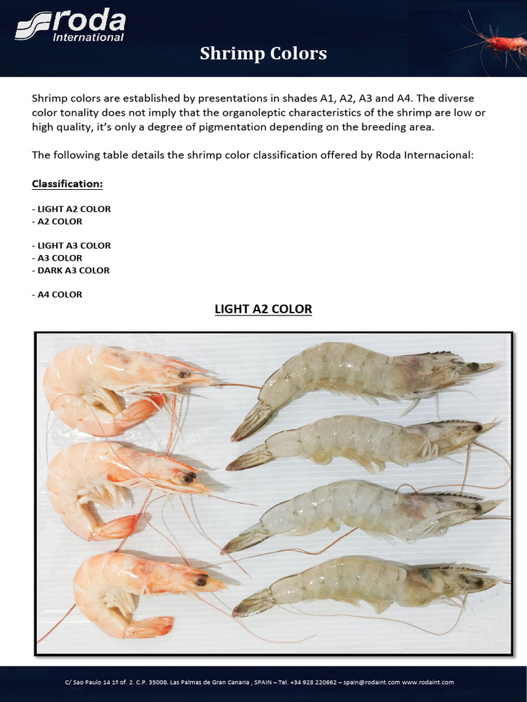 Shrimp Color Classification Guide | PDF | Business | Cooking, Food & Wine