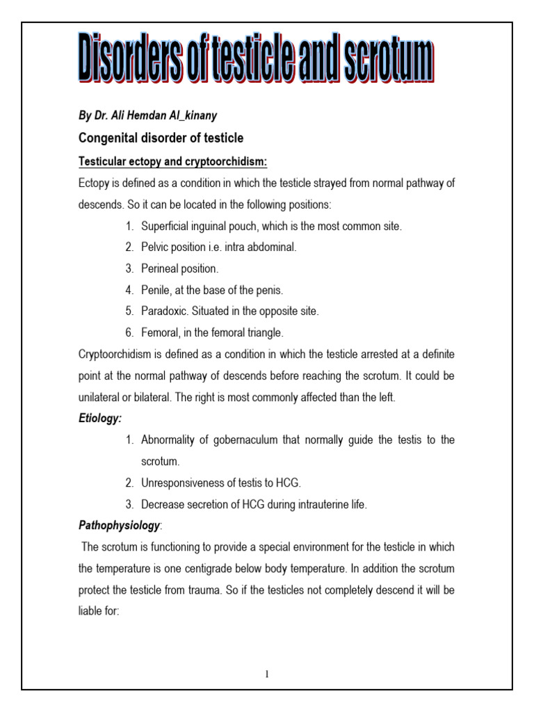 Testicular Disorders: Ectopy, Tumors, and Treatments | PDF | Testicle ...