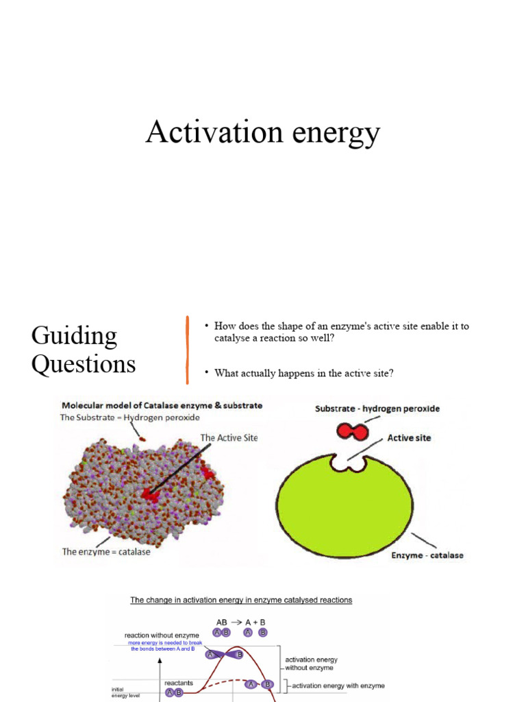 Activation Energy | PDF