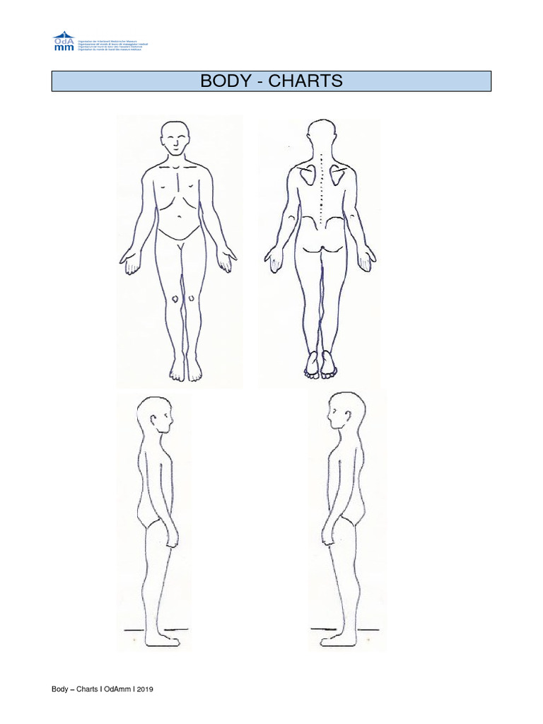 Body Chart OdAmm (1) | PDF
