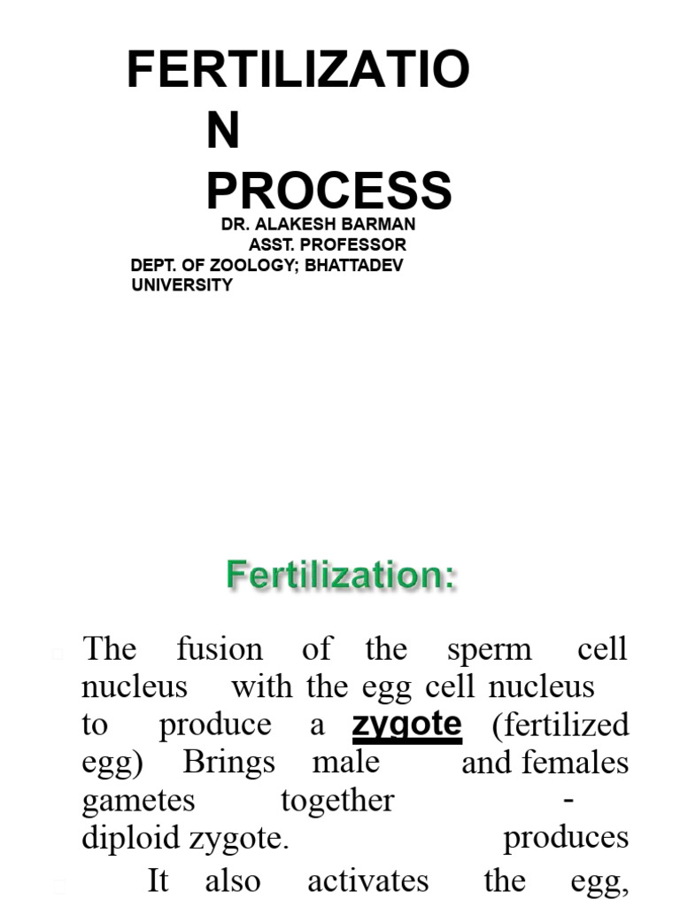 Alakeshbarman Zoology PG 2nd Fertilization | PDF | Fertilisation | Biology