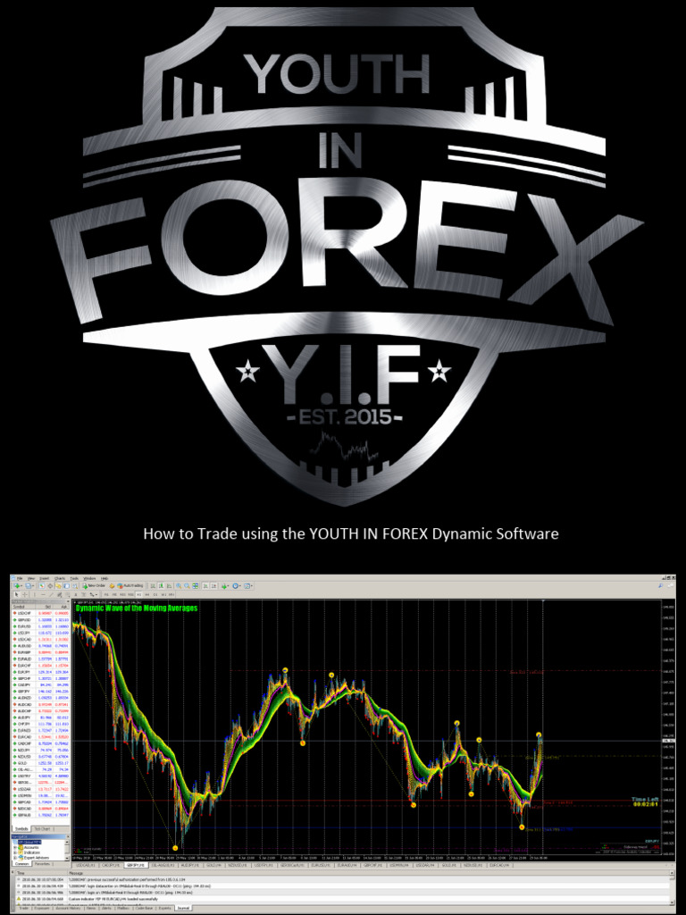 YIF DS - How To Trade Using The Software | PDF