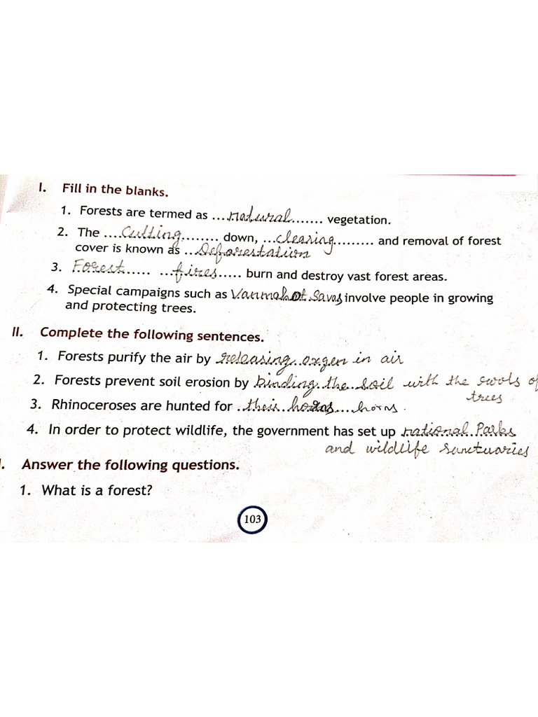 LN 12 Book Back | PDF