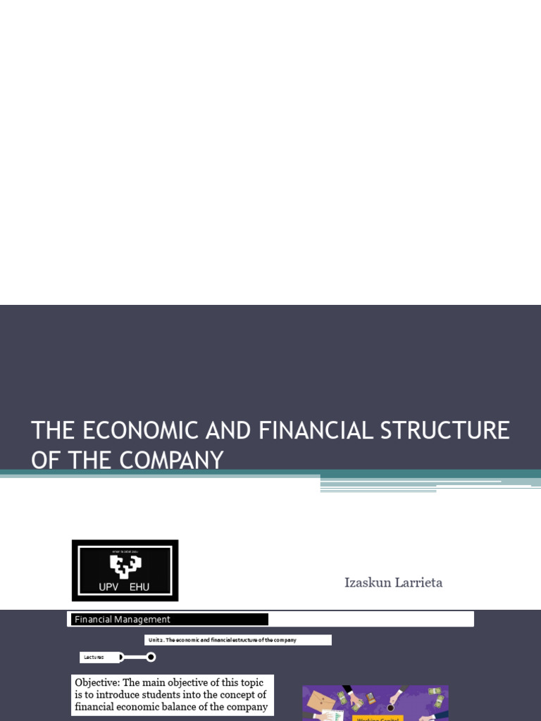 Economic and Financial Structure Overview | PDF | Equity (Finance) | Debt