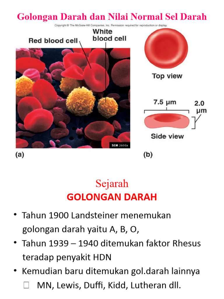 Golongan - Darah & Nilai Normal Sel Darah | PDF