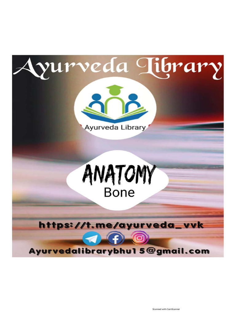 Anatomy Bone | PDF