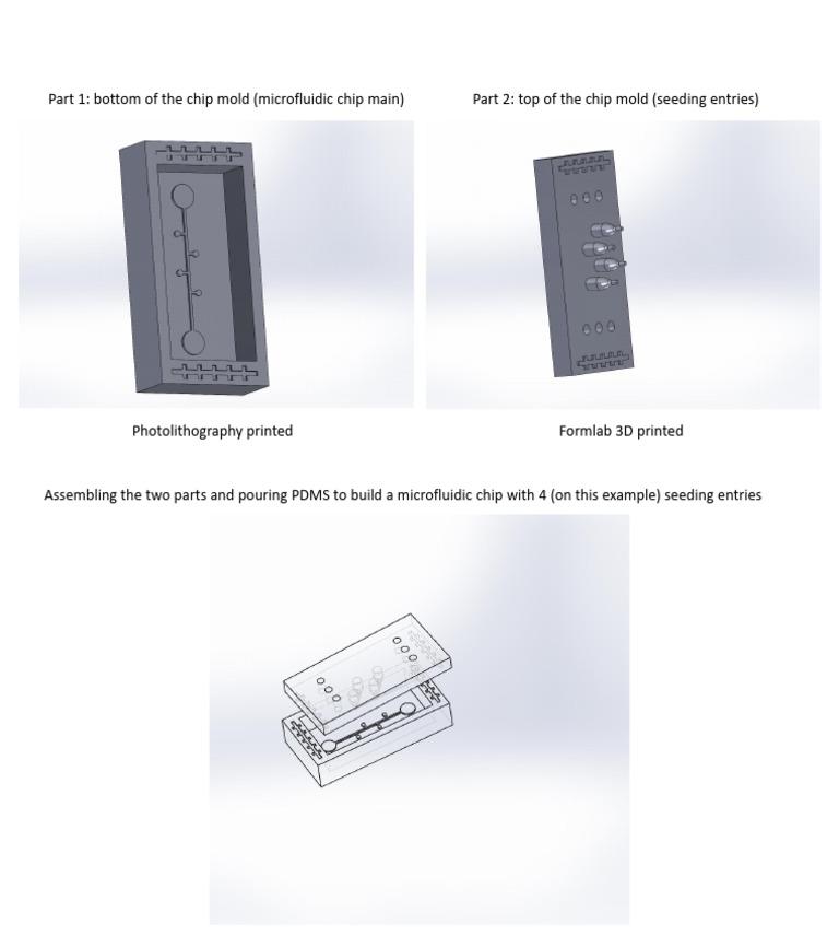 Microfluidic Chip Explanation | PDF | Computers