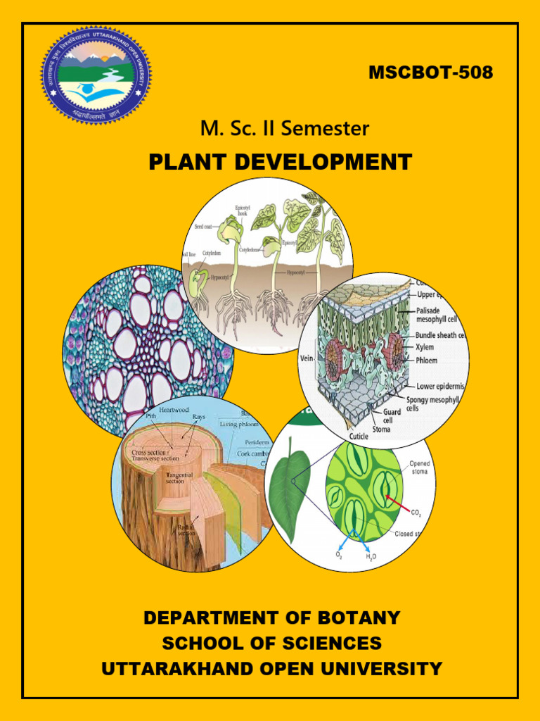 MSCBOT-508 | PDF | Tissue (Biology) | Plant Stem