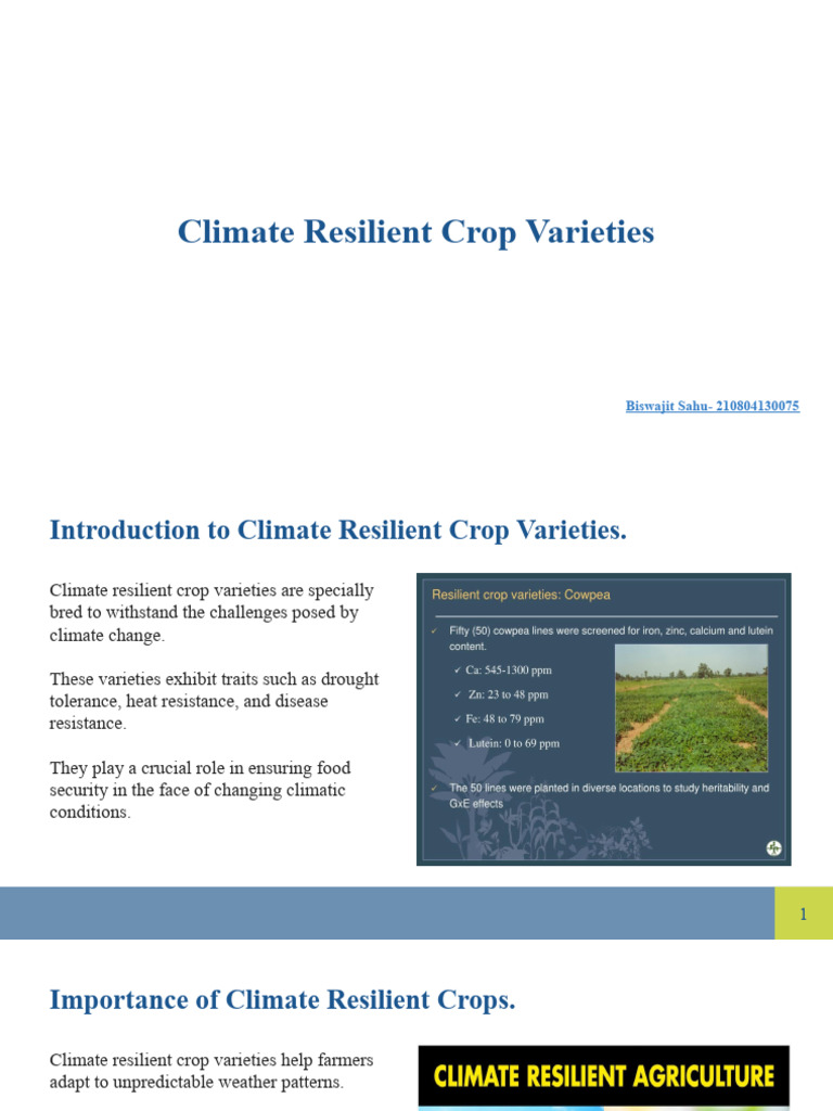 Climate Resilient Crop Varieties Guide | PDF | Climate Resilience ...