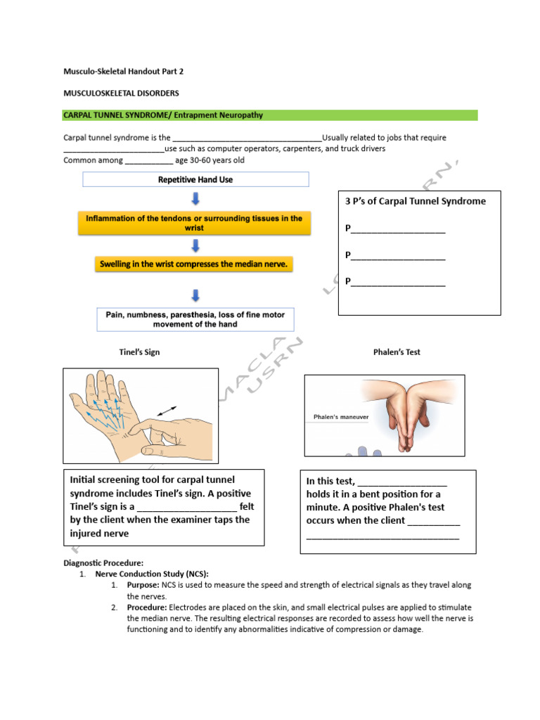 Musculoskeletal Handout Part 2 Student | PDF | Gout | Electromyography