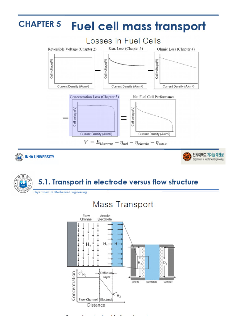 2022-Springl-Fuel Cell Fundamentals_Chap. 6 | PDF | Fluid Dynamics ...