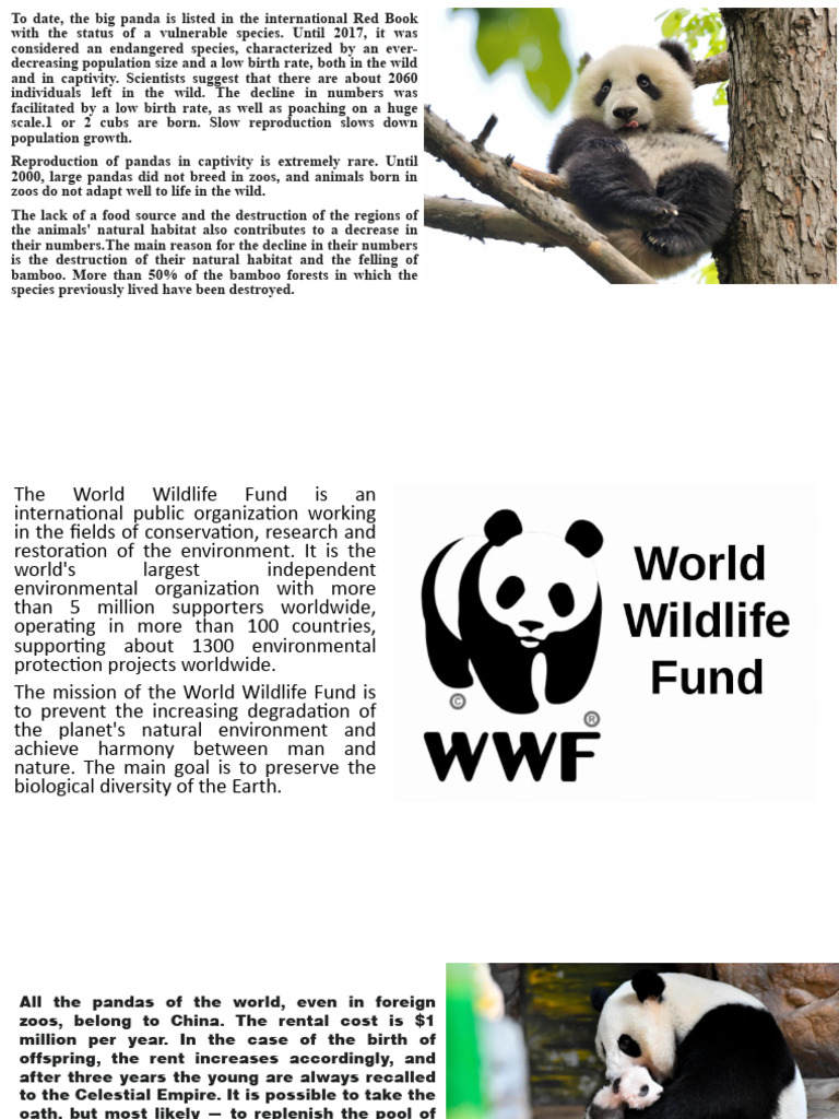 Panda 8 | PDF