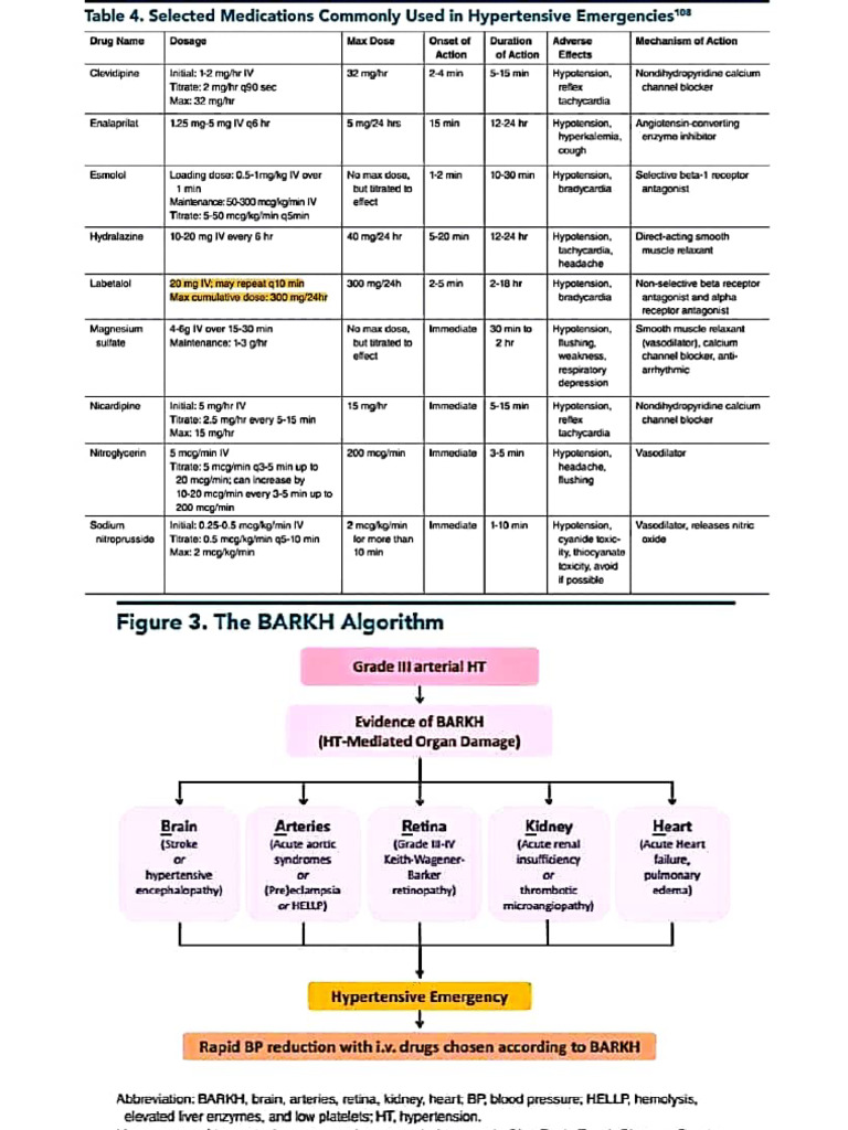 Hypertensive Emergency | PDF