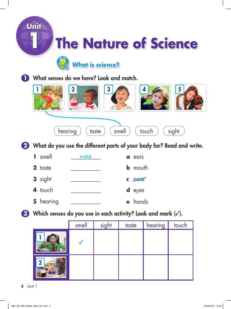 Big Science 3 Unit 1 Workbook | PDF | Senses | Experiment
