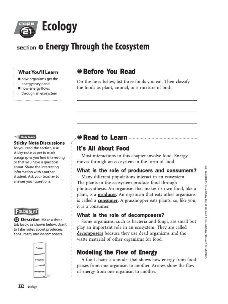 Energy Flow in Ecosystem | PDF