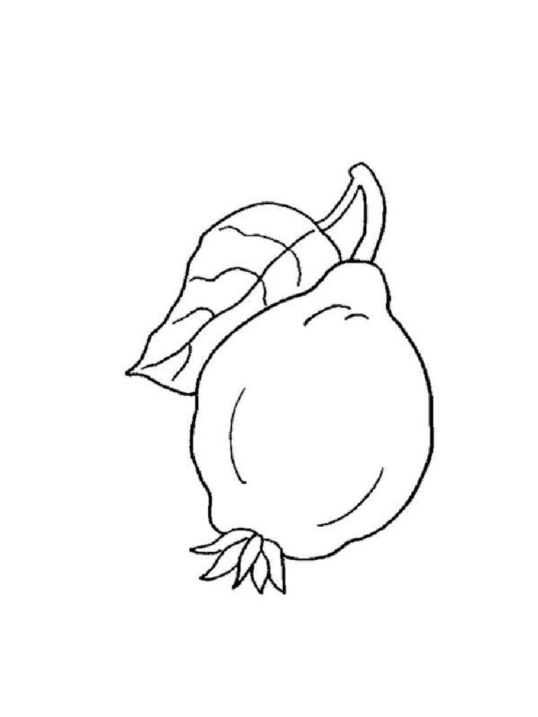 gutuie | PDF