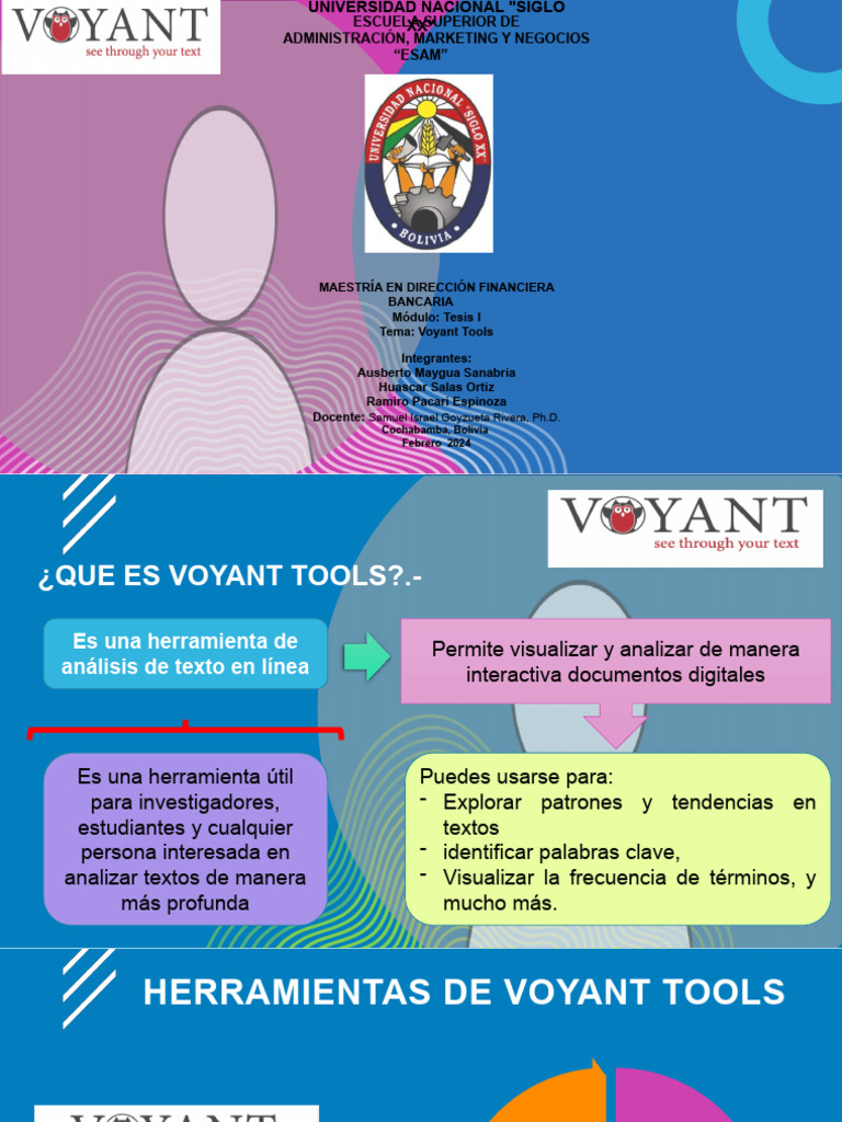 Voyant Tools_Grupo 2 | PDF | Informática