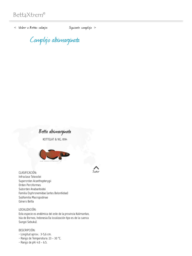 BettaXtrem - Complejo Albimarginata | PDF