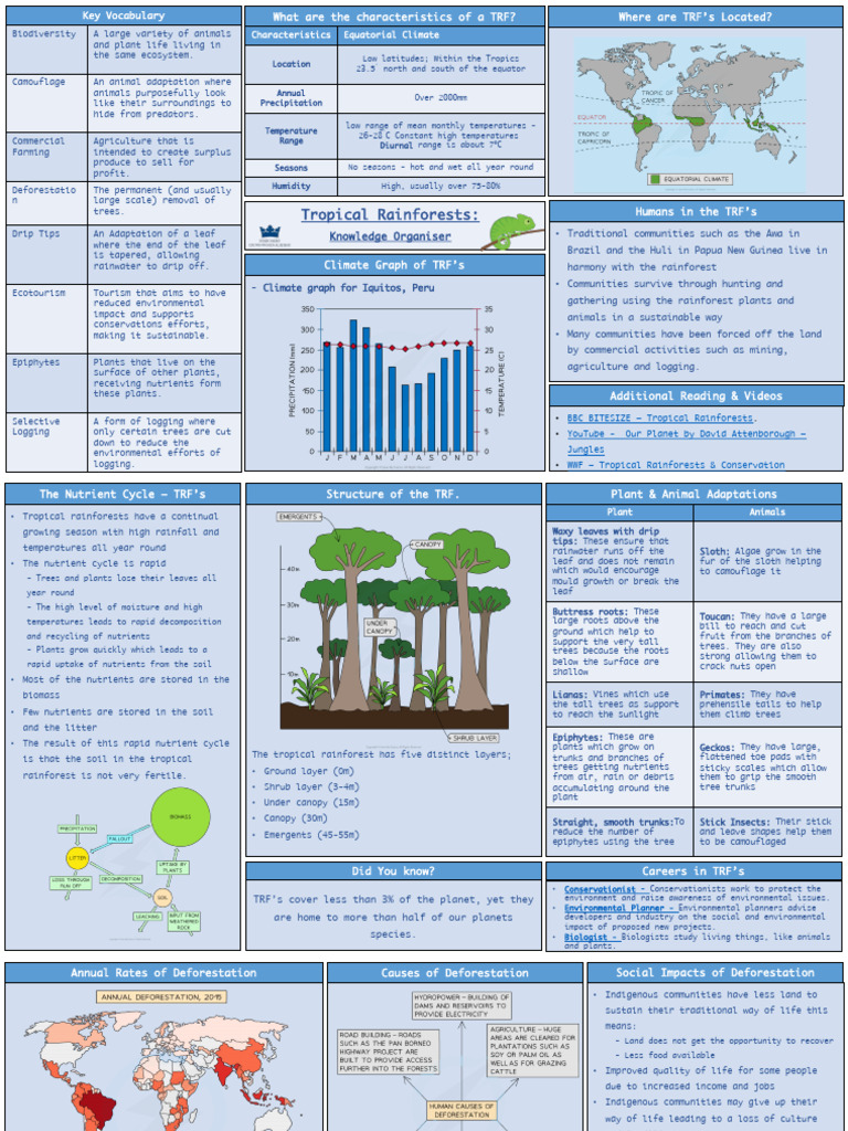Ko Tropical Rainforests Pdf Rainforest Deforestation