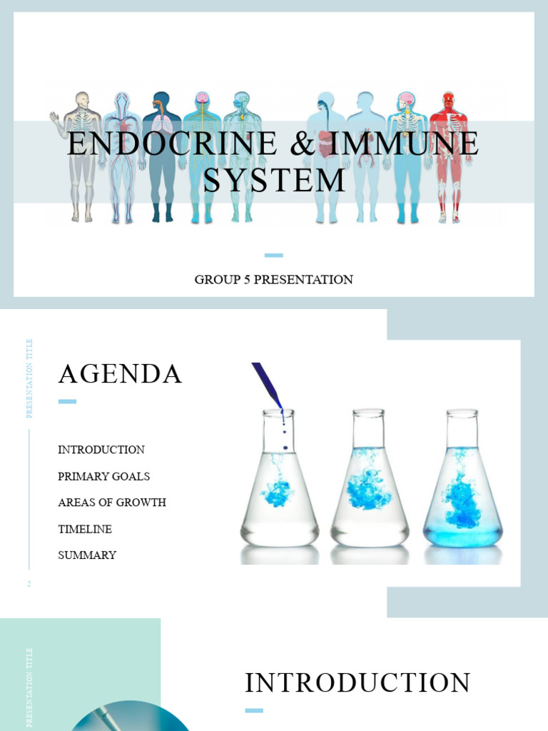 Endocrine & Immune System | PDF | Electronic Business | Business