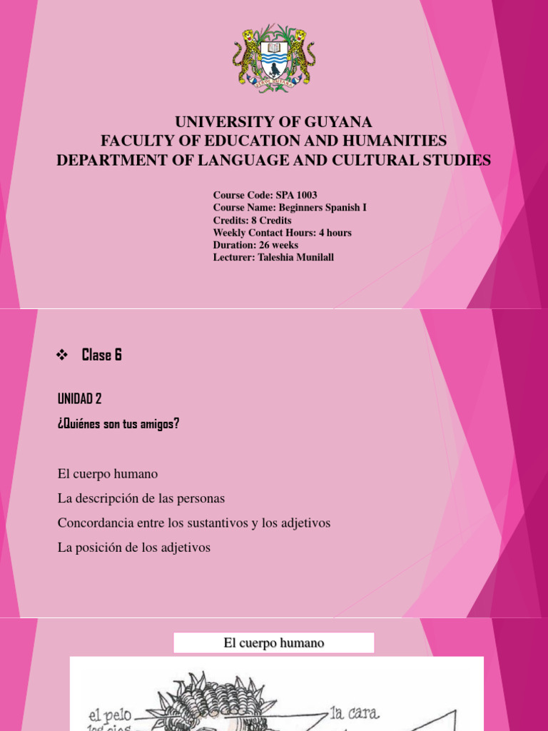 Beginners Spanish I Course Overview | PDF