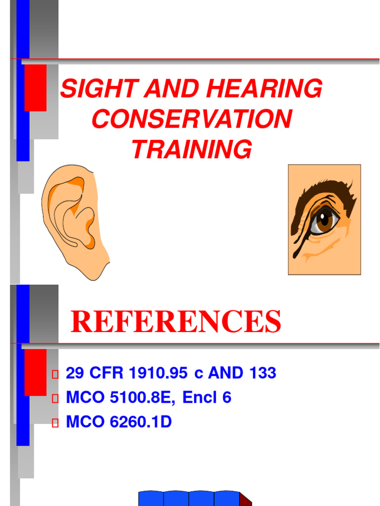 SIGHT AND HEARING Traning | PDF | Noise