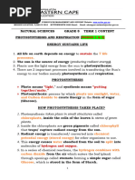 01. Grade 8 - Photosynthesis and Respiration (Notes) | PDF ...