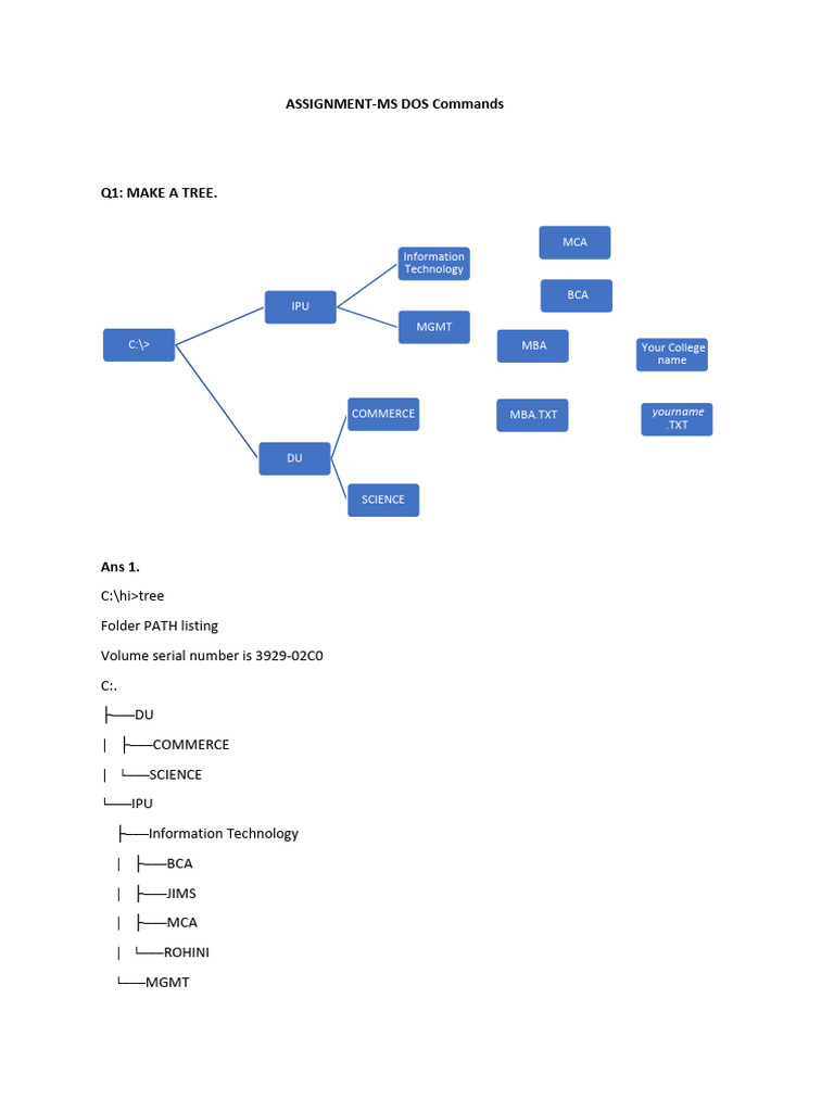 It Assignment Pdf Directory Computing Computer File 2893