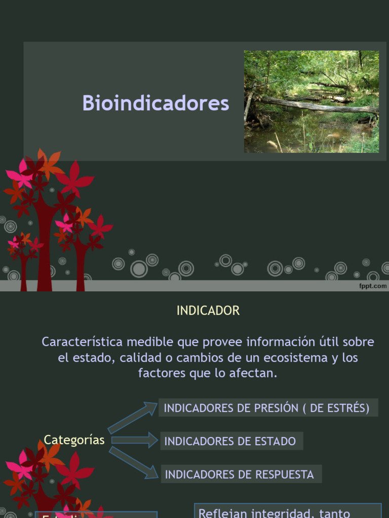 Bioindicadores | Descargar gratis PDF | Ecología | Contaminación