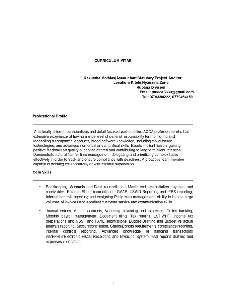 CV | PDF | Internal Control | Audit