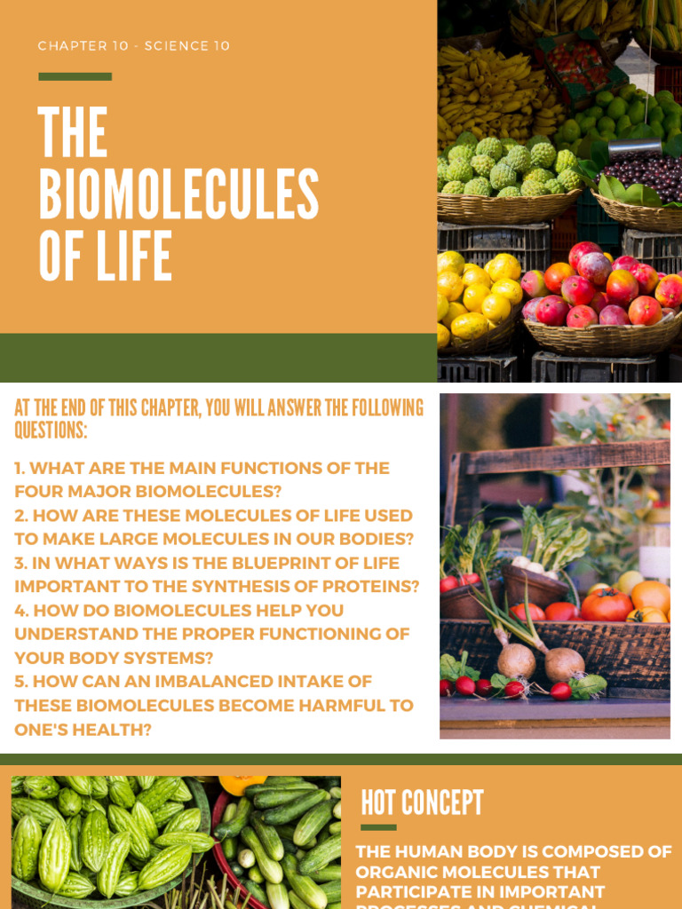 Biomolecules of Life | Download Free PDF | Molecules | Biomolecules