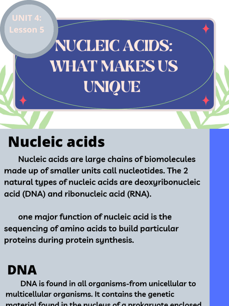 Understanding Nucleic Acids: DNA & RNA | PDF