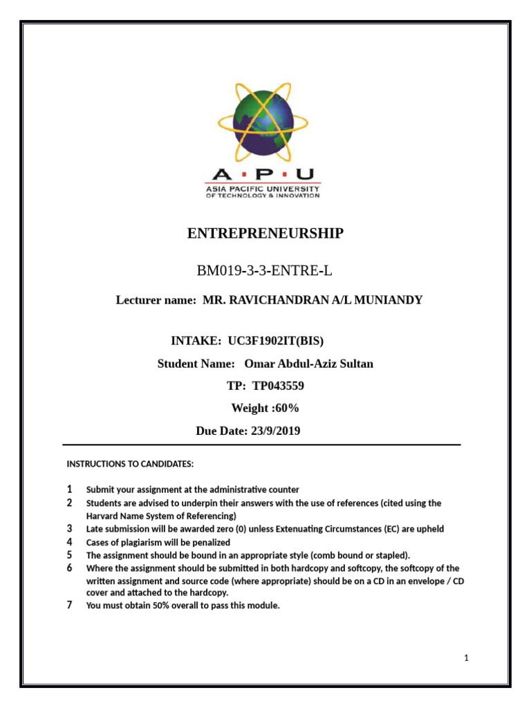 ENTREPRENEURSHIP Assignment | PDF | Entrepreneurship | Microsoft