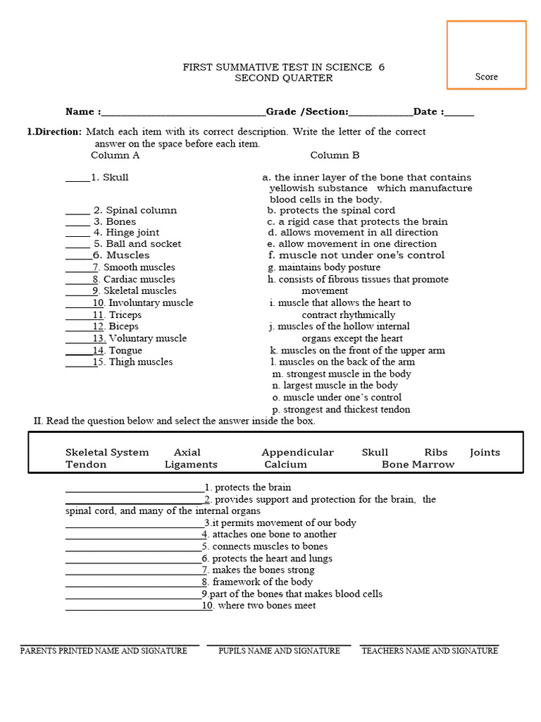 SUMMATIVE TEST IN SCIENCE 6 - 2nd Quarter 1st Summative | PDF ...