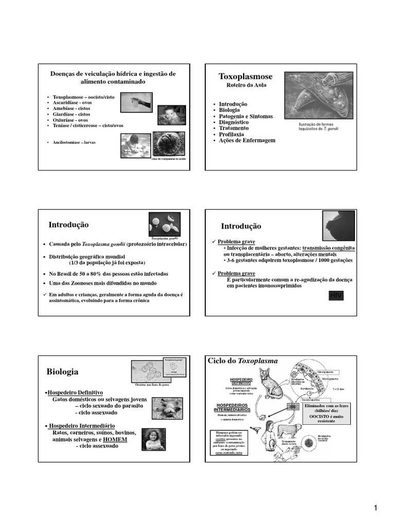 Toxoplasmose: Transmissão e Sintomas | PDF | Medicina Clínica | Doenças ...