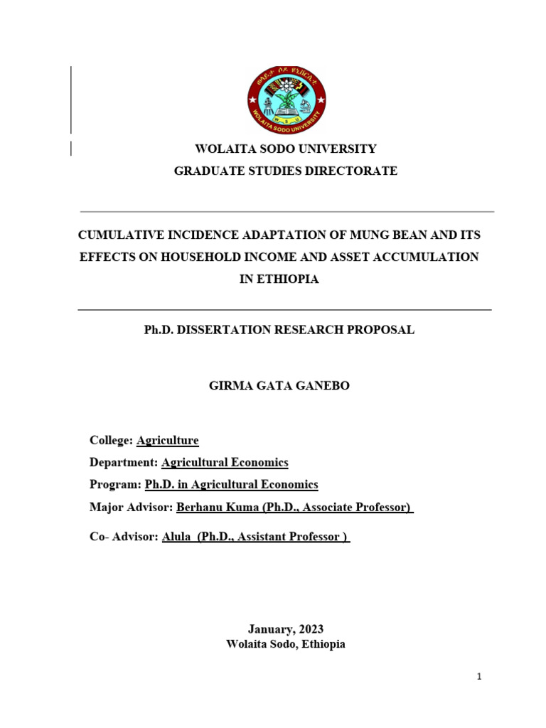 5.PhD Dissertion Thesis Prop Girma | PDF | Risk | Agriculture