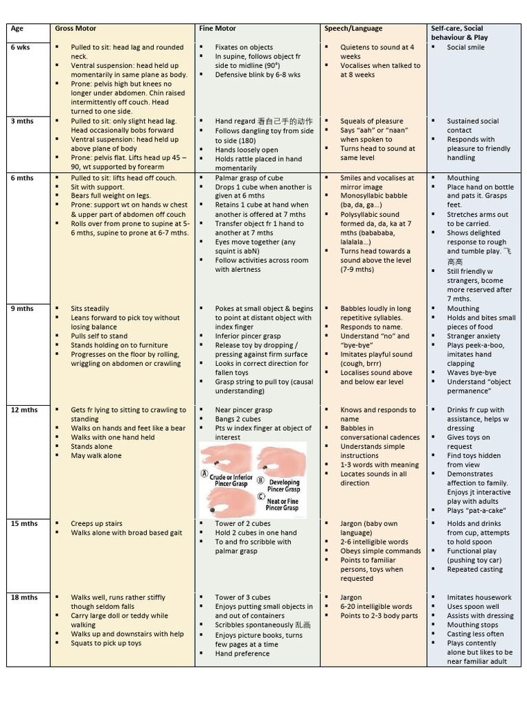 Developmental Milestones | PDF | Hand | Linguistics