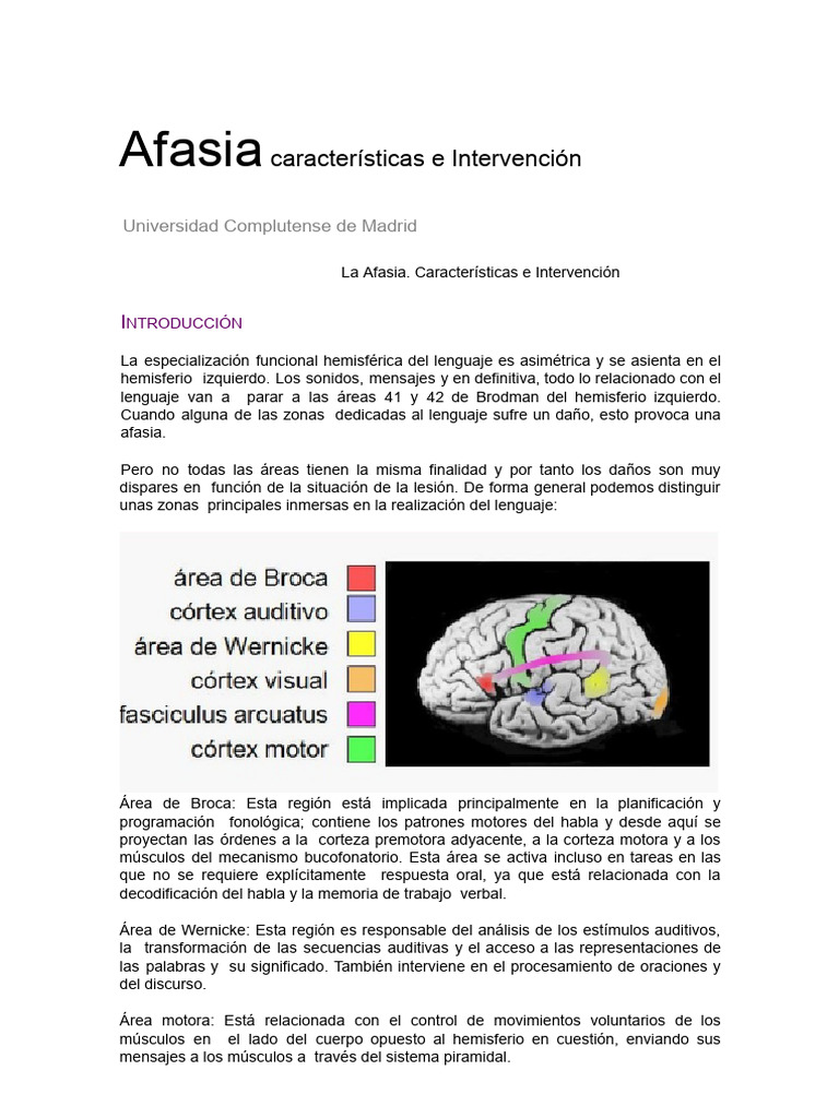 La Afasia | PDF | Afasia | Hemisferio cerebral
