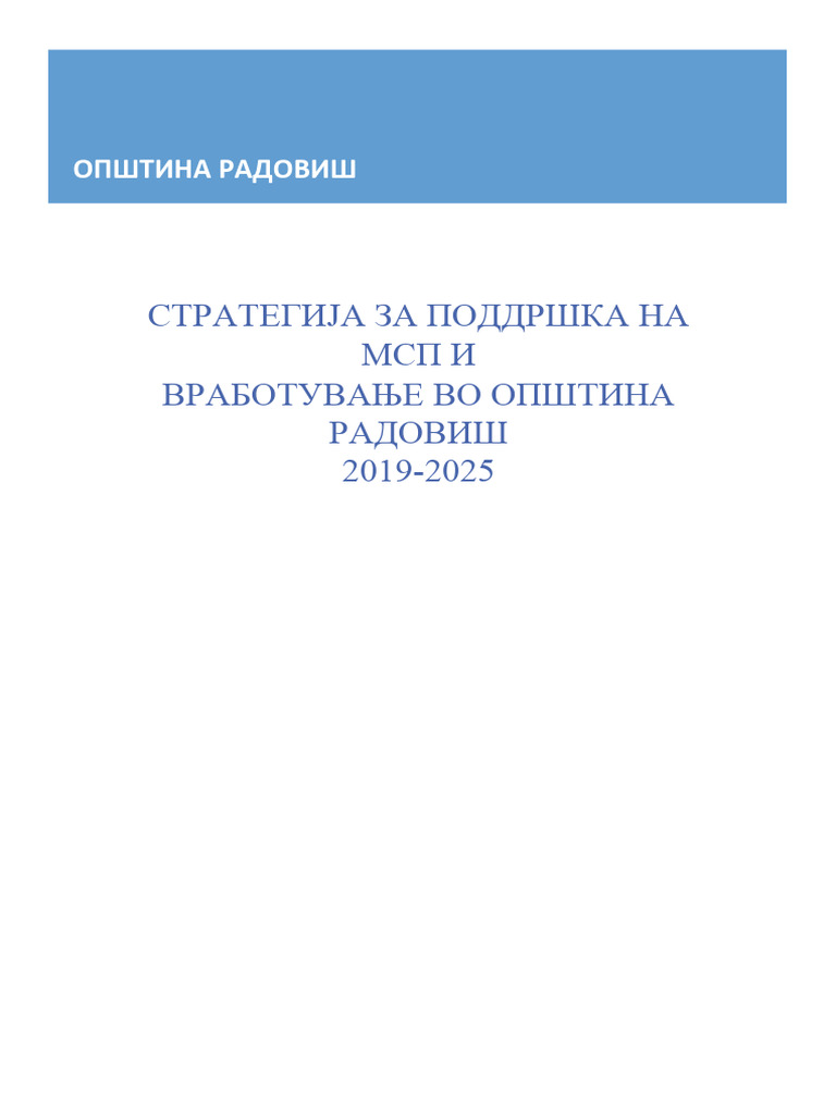 Strategija Za MSP | PDF