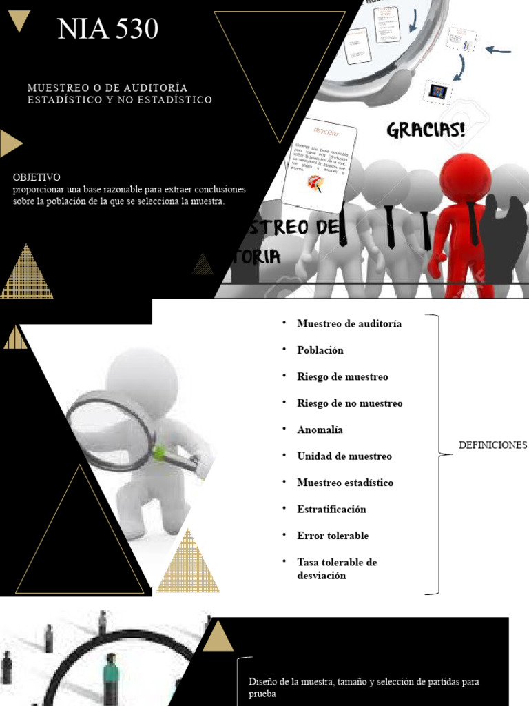 Formato de Diapositivas | PDF | Auditoría | Contralor