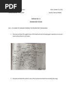 Respiratory System Study Guide | PDF | Exhalation | Respiratory Tract