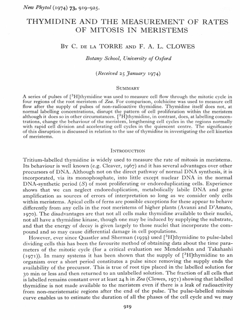 Thymidine's Impact on Mitosis Rates | PDF | Mitosis | Cell Cycle